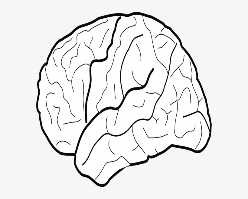 Planet - - White Brain Clip Art Transparent PNG - 580x580 - Free ...