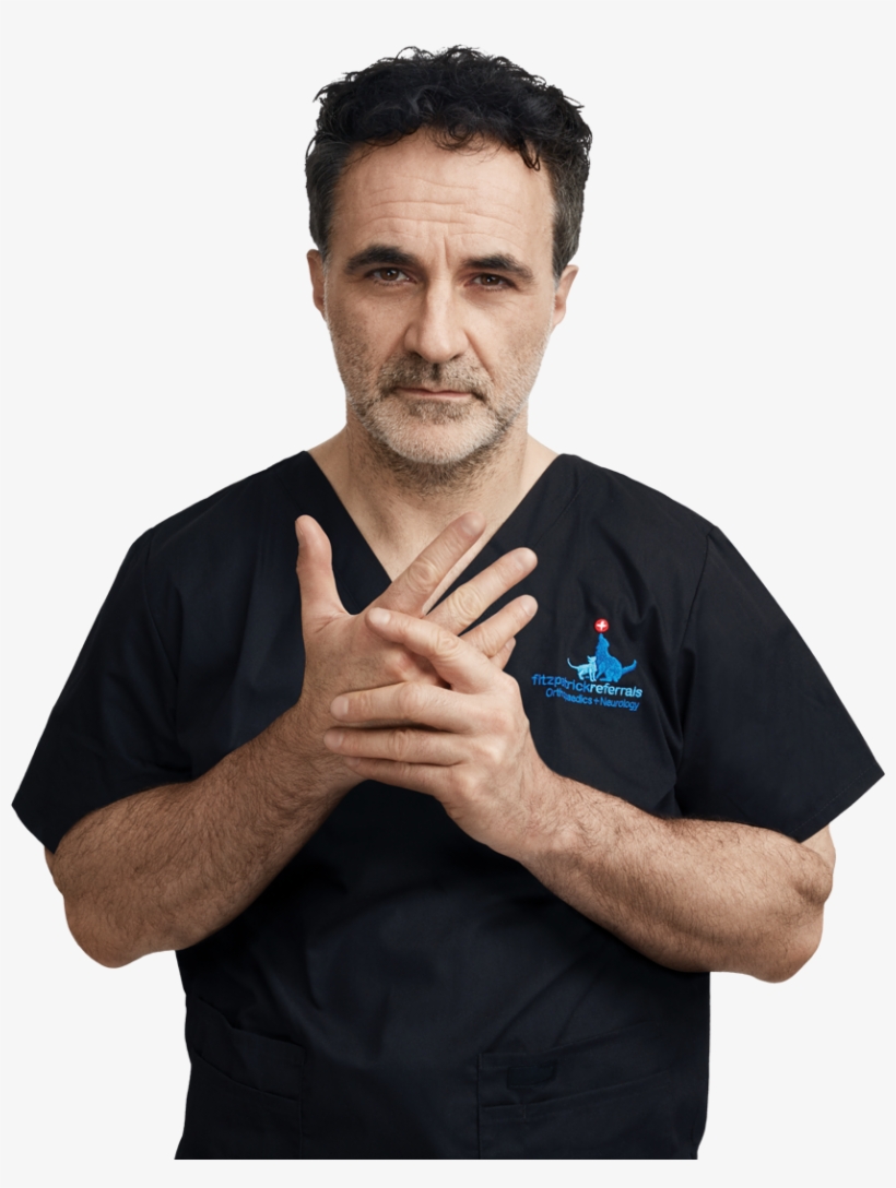 Following The Huge Success Of His Channel 4 Show, Professor - Super Vet ...