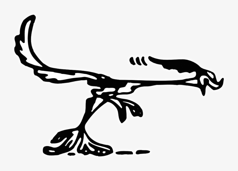 Road Runner Transparent PNG - 800x565 - Free Download on NicePNG