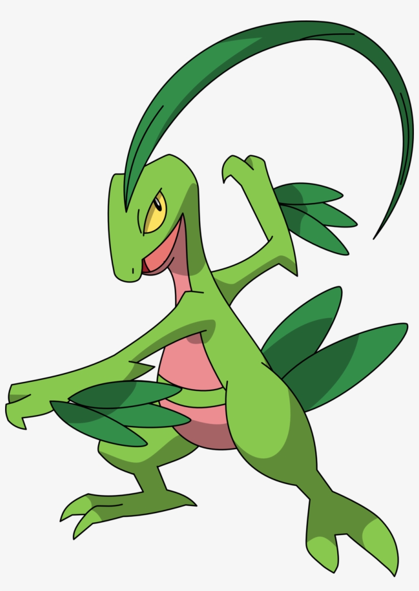 Mike The Fanfiction Wiki - Pokemon Grovyle Transparent PNG - 1024x1394 ...
