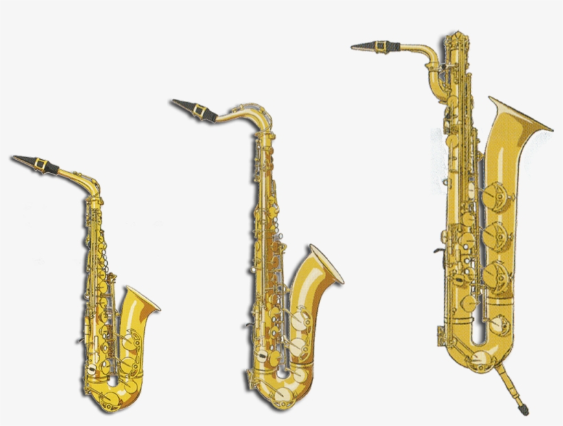 Download Sax Family - Saxophone - HD Transparent PNG - NicePNG.com