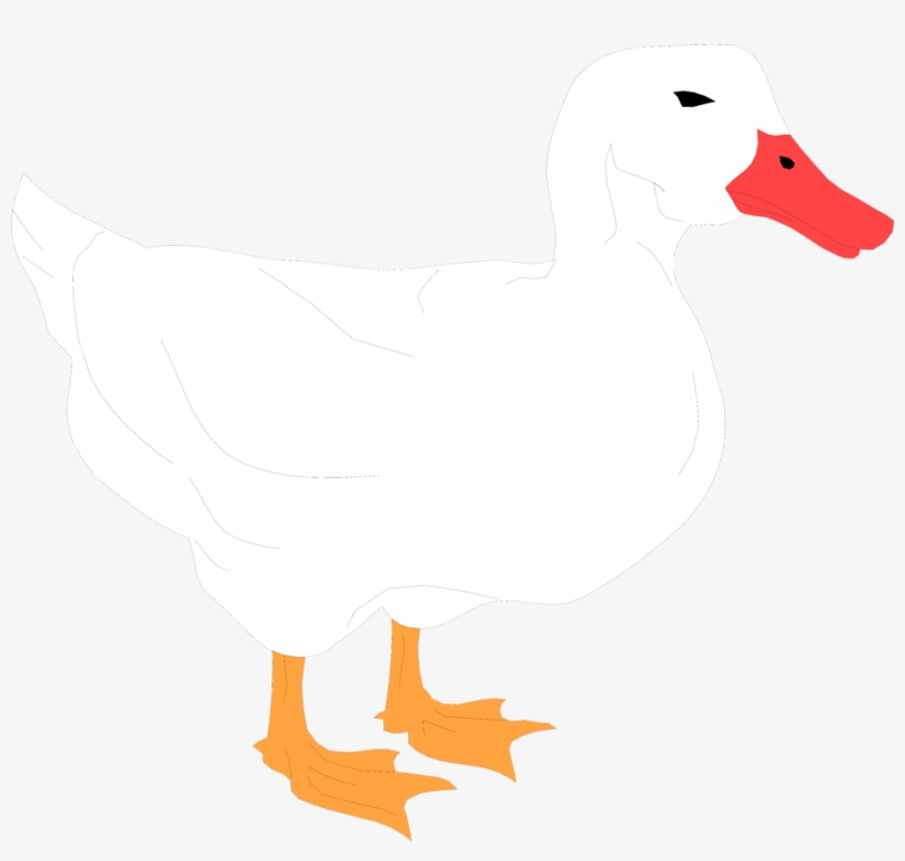 Duck - White Duck Clipart Transparent Transparent PNG - 958x865 - Free ...
