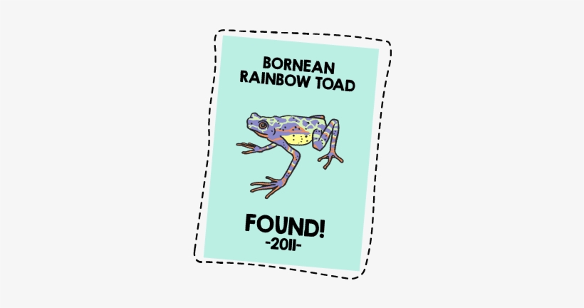 Romer's Tree Frog Transparent PNG - 300x400 - Free Download on NicePNG