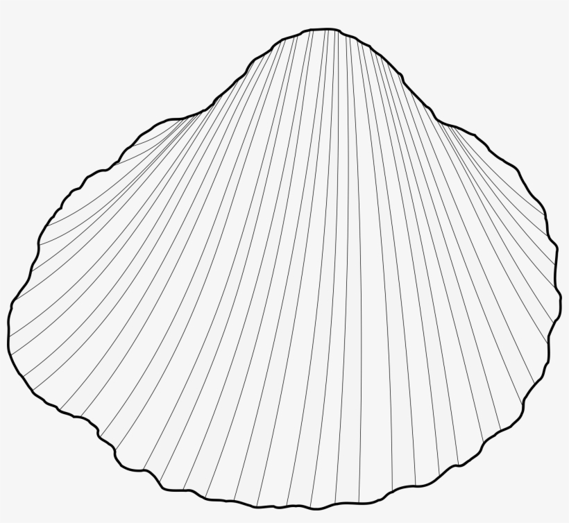 Clam Shell Clipart Download - Clipart Cockle Transparent PNG ...