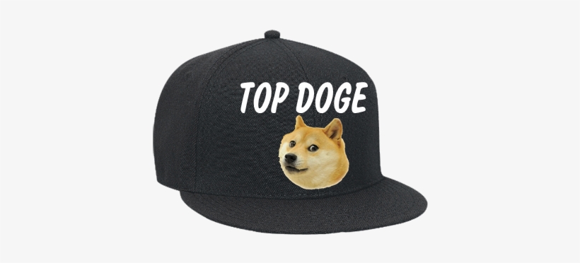 Related Doge - Top Doge Hat Transparent PNG - 400x333 - Free Download ...