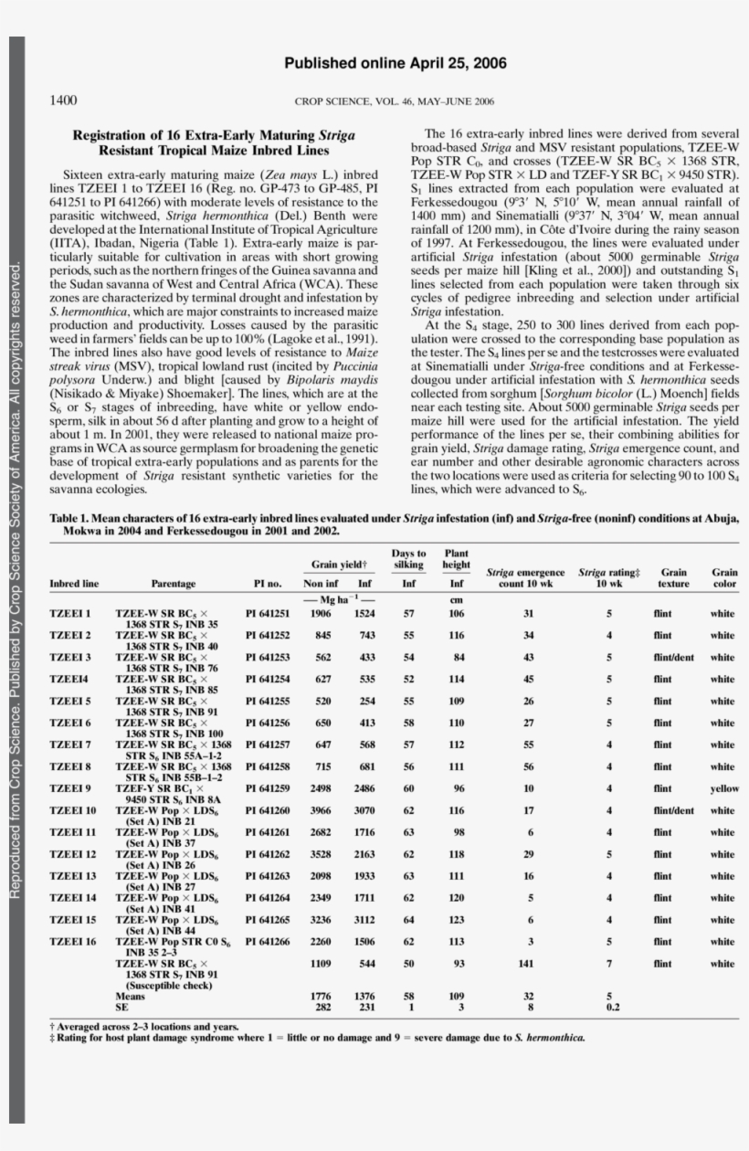 Abstract - Document Transparent PNG - 1000x1488 - Free Download on NicePNG