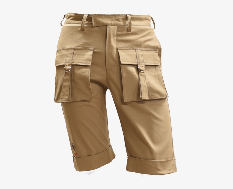 Clothes - Cargo Shorts Transparent Background Transparent PNG - 600x600 ...
