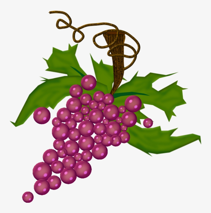 Grappe De Raisin Png Transparent PNG - 800x759 - Free Download on NicePNG