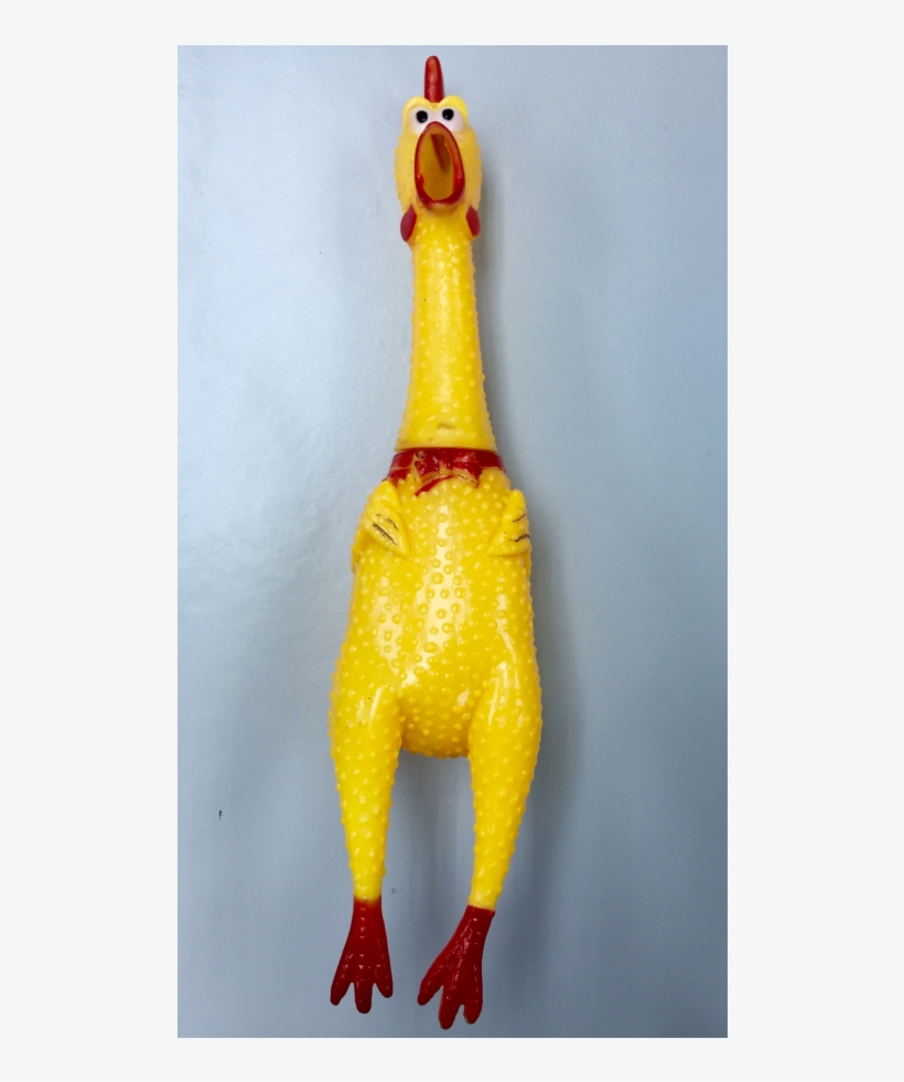 Download Rubber Chicken - Chicken - HD Transparent PNG - NicePNG.com