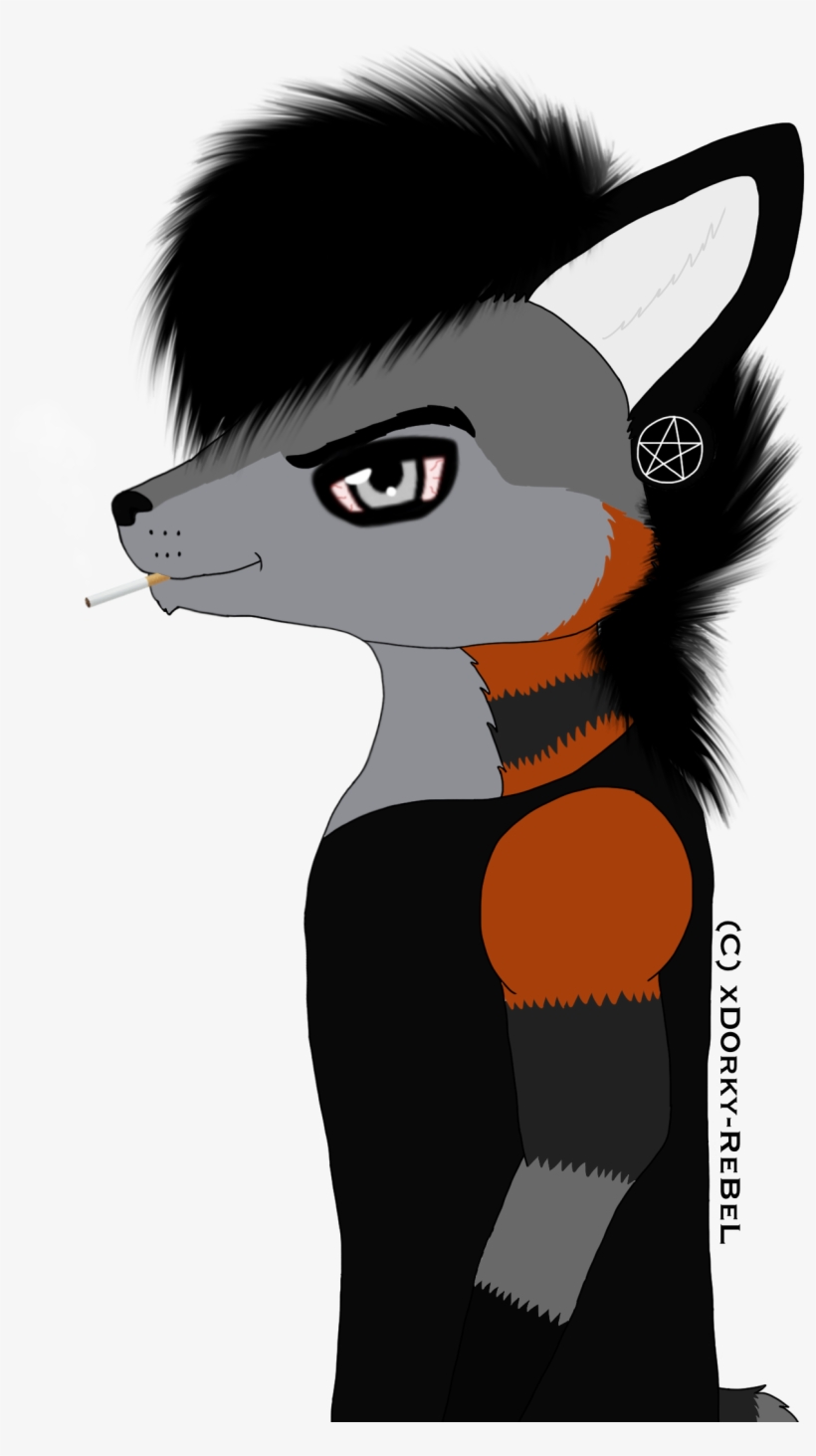 Jinx - Cartoon Transparent PNG - 1452x2328 - Free Download on NicePNG