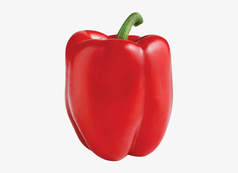 Red Bell Pepper - Red Bell Pepper Png Transparent PNG - 438x600 - Free ...