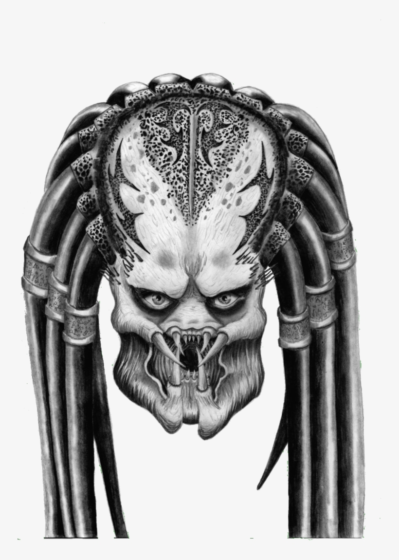 Predator Drawing Transparent PNG - 747x1070 - Free Download on NicePNG
