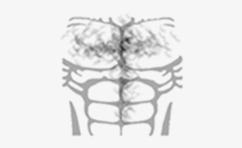 Download Chest Hair Png - T Shirt Roblox Musculos - HD Transparent PNG ...