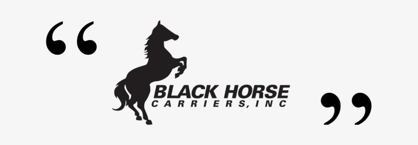 "i Have Worked With Ron Feldstein And His Team At Coliseum - Black ...