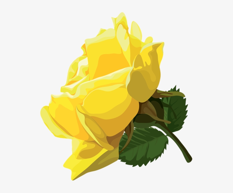 Yellow Rose Png Clip Art - Yellow Rose Icon Png Transparent PNG ...
