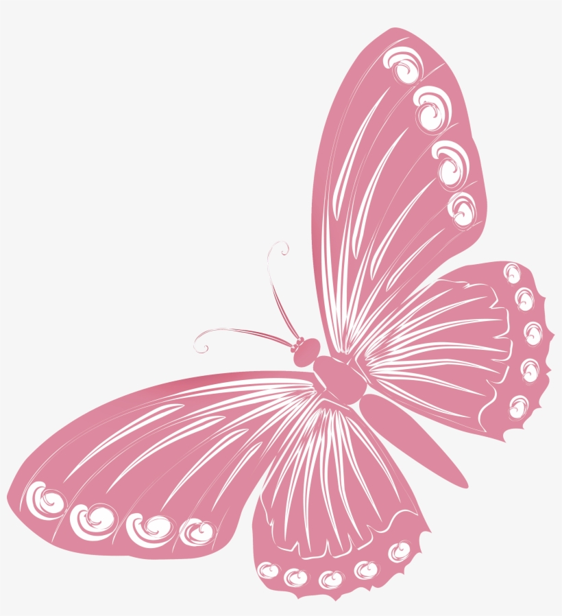Pink Butterfly Png - Mariposas En Color Coral Transparent PNG ...