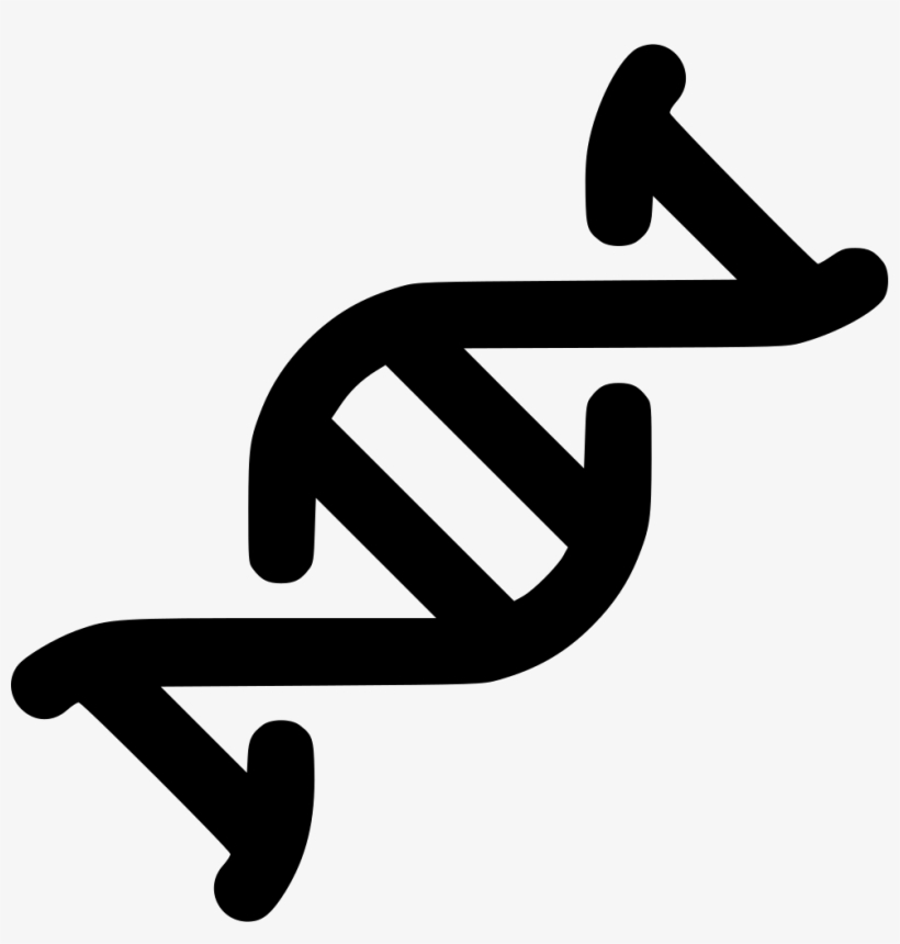 Dna Double Helix - Double Helix Icon Transparent PNG - 981x982 - Free ...