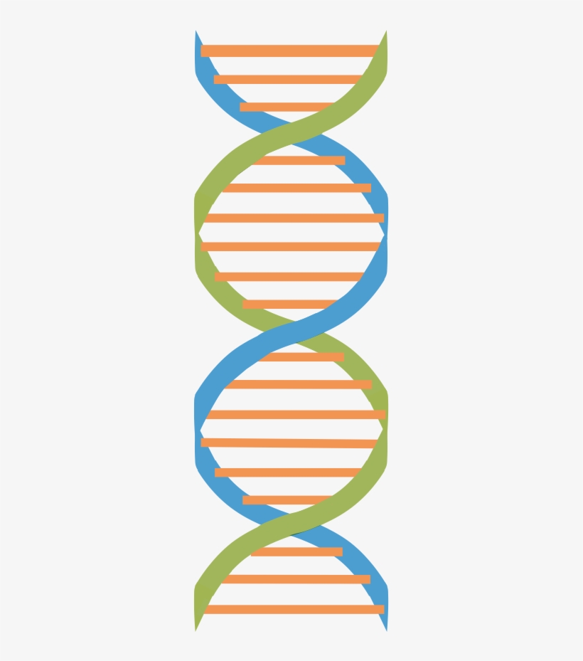 Toggle Navigation - Red Double Helix Clip Art Transparent PNG - 276x849 ...