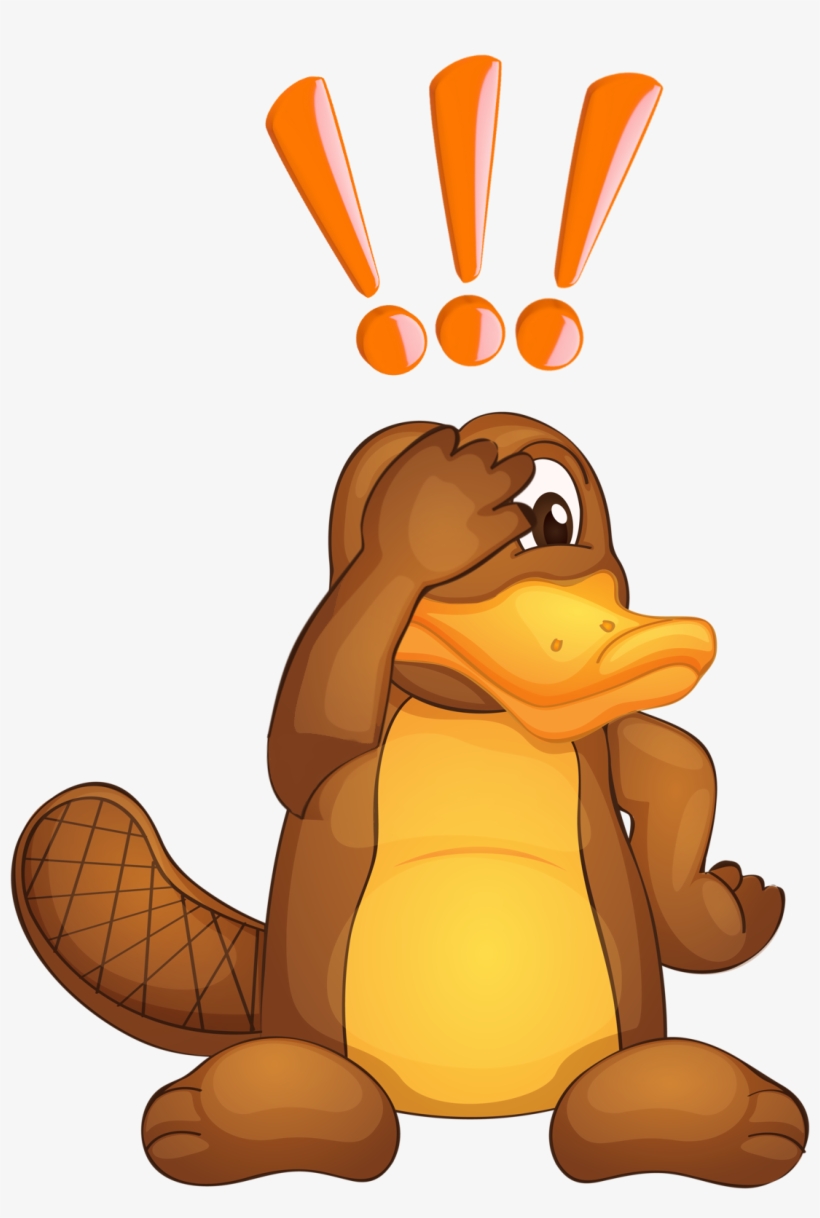 Duckbill Platypus Drawing