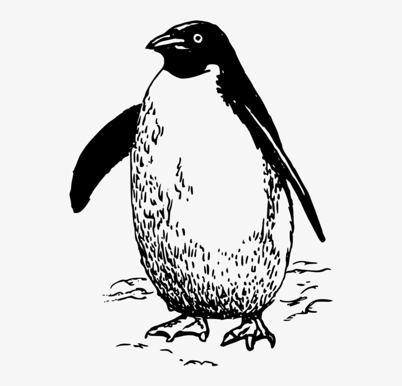 Download Emperor Penguin Bird Drawing Line Art - Penguin Black And ...