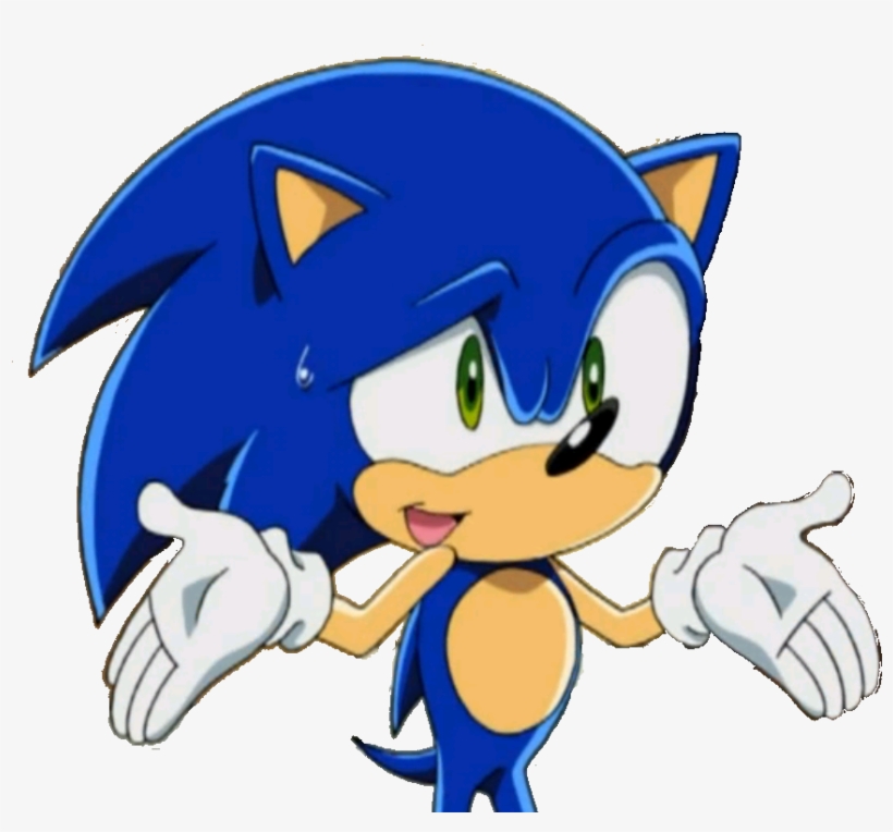 Sonic The Hedgehog Png Pack - Sonic Png Transparent PNG - 867x758 ...