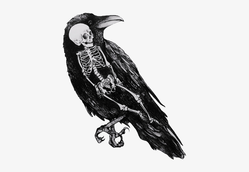 The Crow Wondered How The Human Would Taste - Bird Skeleton Drawing ...