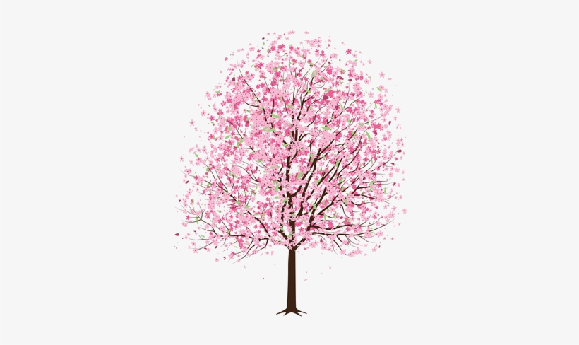 Arbol Rosa Png - Cherry Blossom Trees Transparent Transparent PNG ...