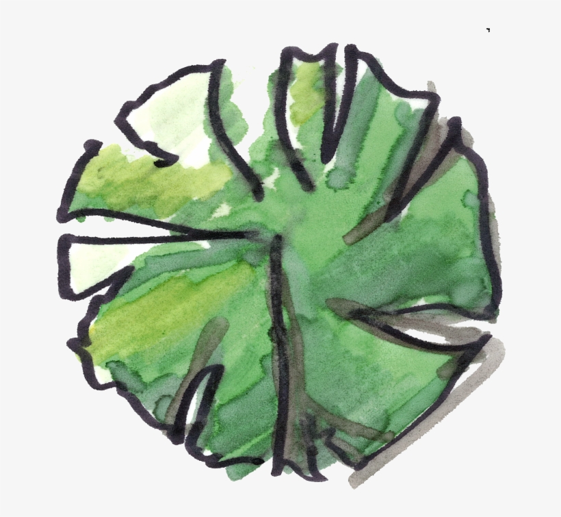 Trees Block Photoshop Png Transparent PNG - 684x678 - Free Download on ...