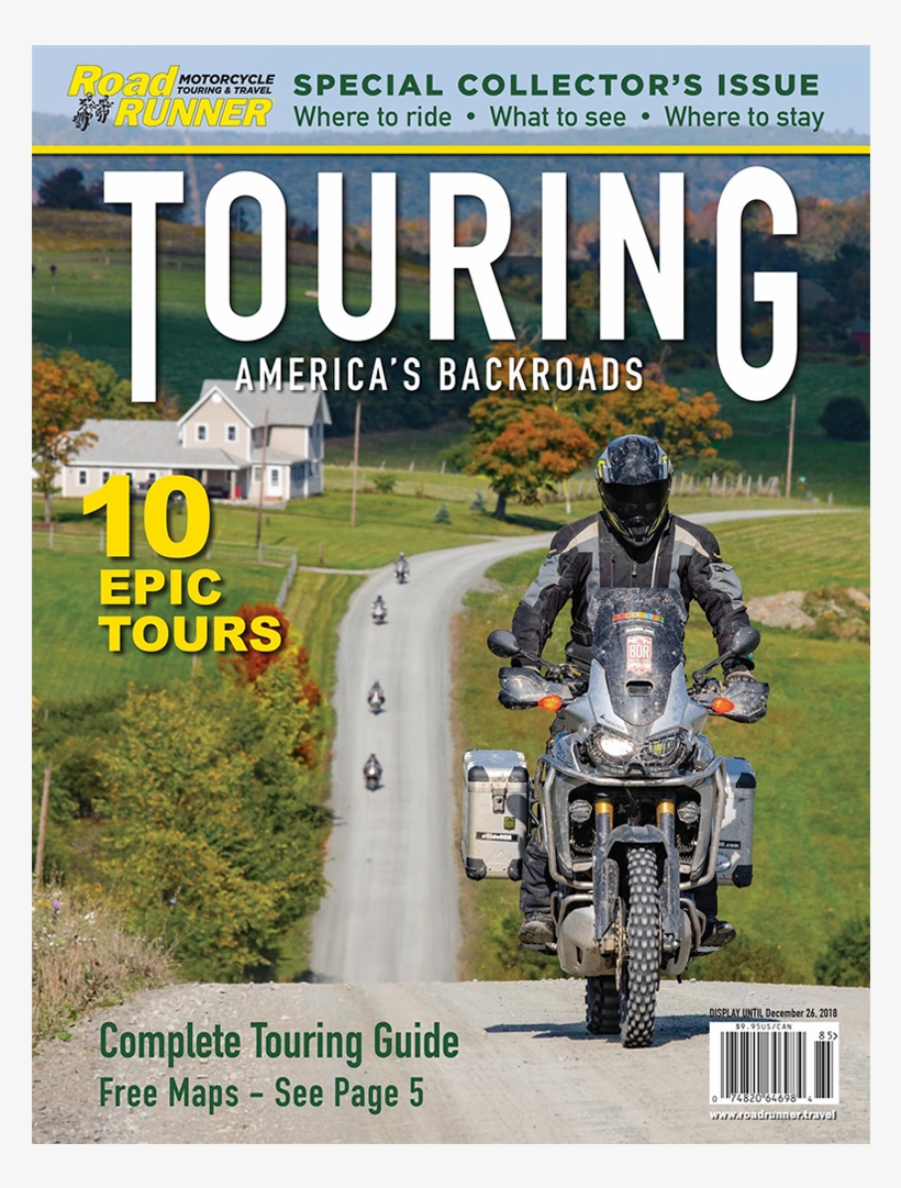 Roadrunner Transparent PNG - 1000x1000 - Free Download on NicePNG