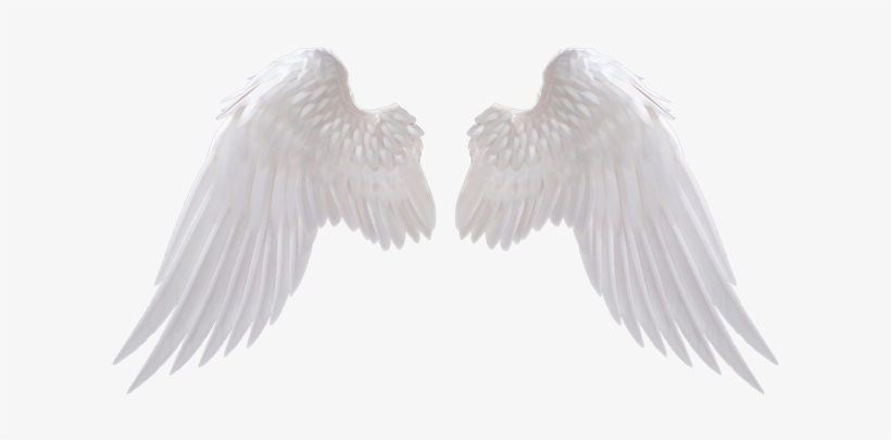 Silver Banner - Angel Wings Png Transparent PNG - 637x350 - Free ...