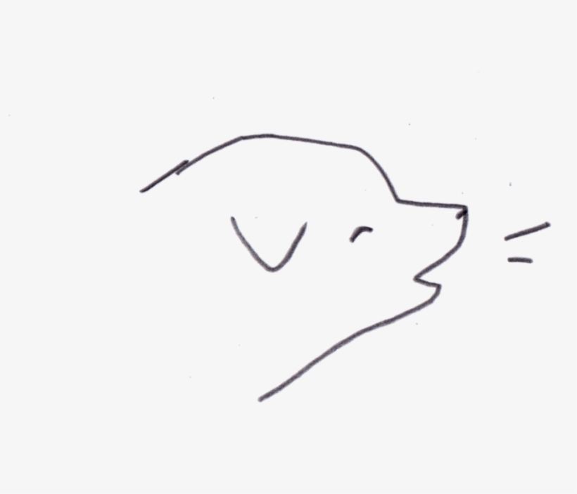 Doggo Transparent PNG - 1000x896 - Free Download on NicePNG