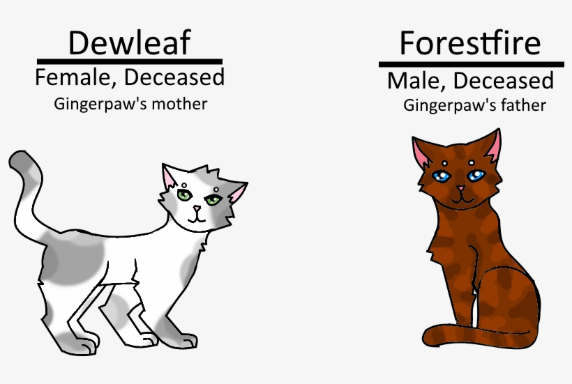Gingerpaw's Family Tree - Cartoon Transparent PNG - 1000x543 - Free ...