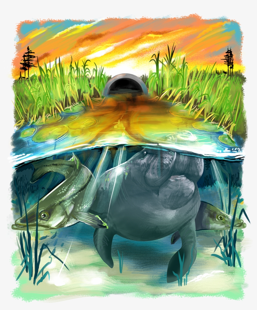 Water Pollution Awareness Transparent PNG - 1200x1389 - Free Download ...