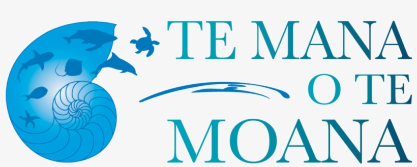 Logo Te Mana Transparent PNG - 1024x355 - Free Download on NicePNG