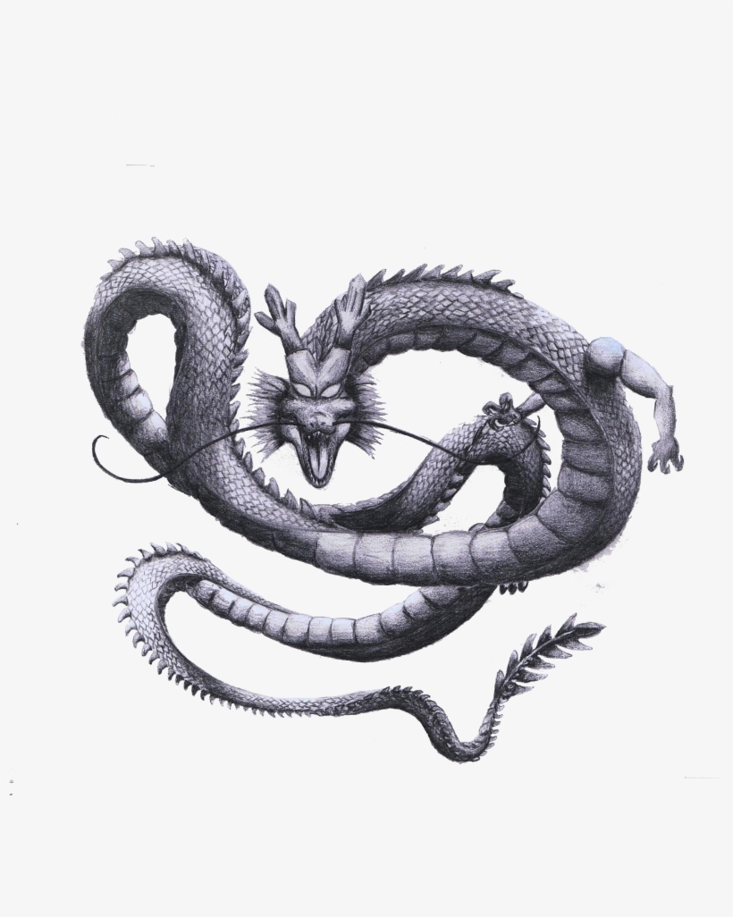 Shenron Transparent Drawing - Serpent Transparent PNG - 2338x3400 ...