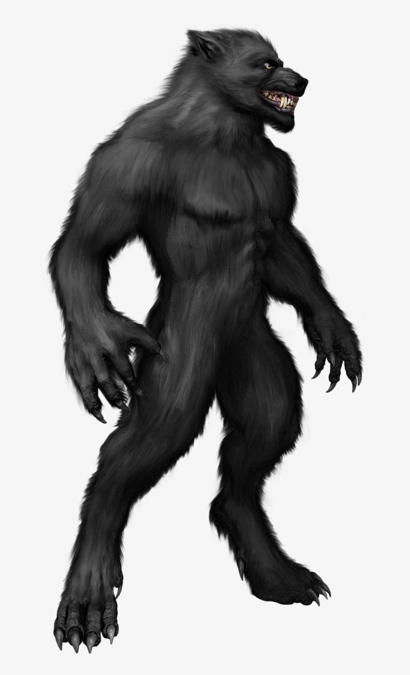 A Werewolf And Home Depot - Bipedal Wolf Transparent PNG - 726x1280 ...