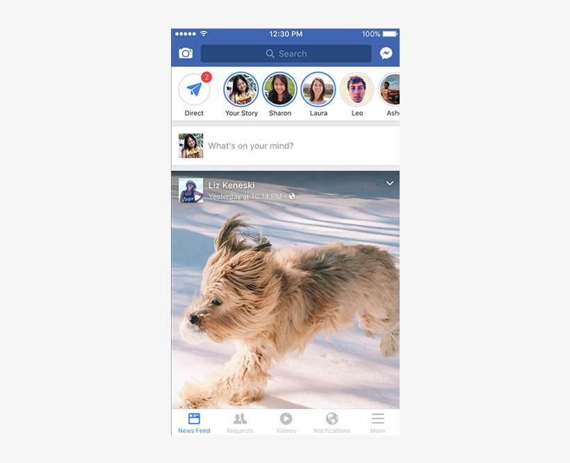 Dog Snapchat Filter Png Transparent PNG - 600x585 - Free Download on ...