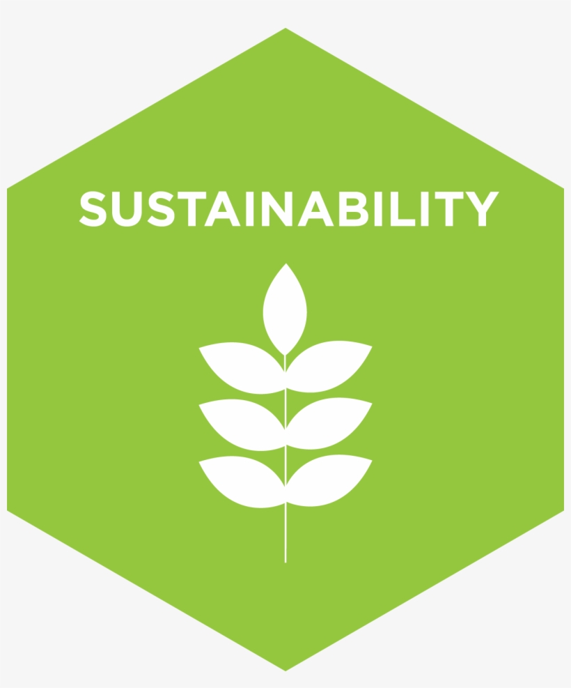 Sustainability Png Transparent PNG - 1414x1633 - Free Download on NicePNG