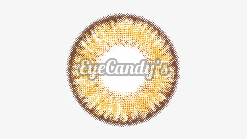 Royal Vision Fancy Brown Colored Contacts Circle Lenses - Contact Lens ...