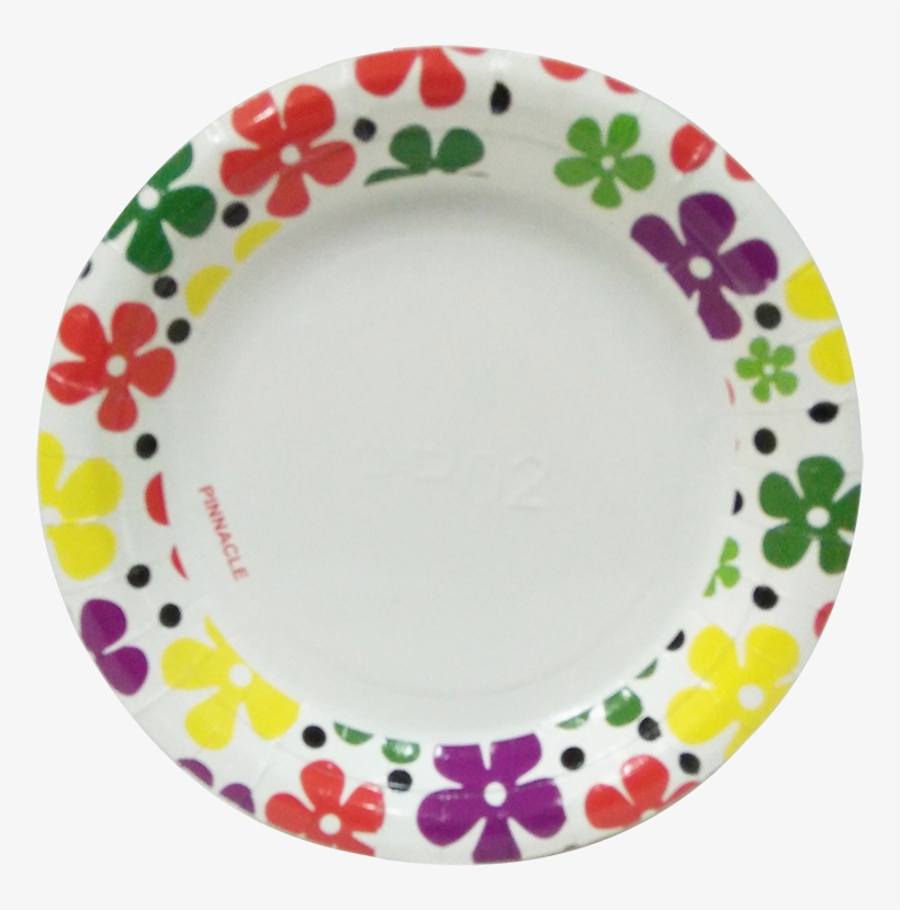 Paper Plate - Circle Transparent PNG - 807x798 - Free Download on NicePNG