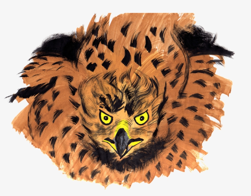 Buzzard Watercolor Isolated - Канюк Звичайний Малюнок Акварелью ...