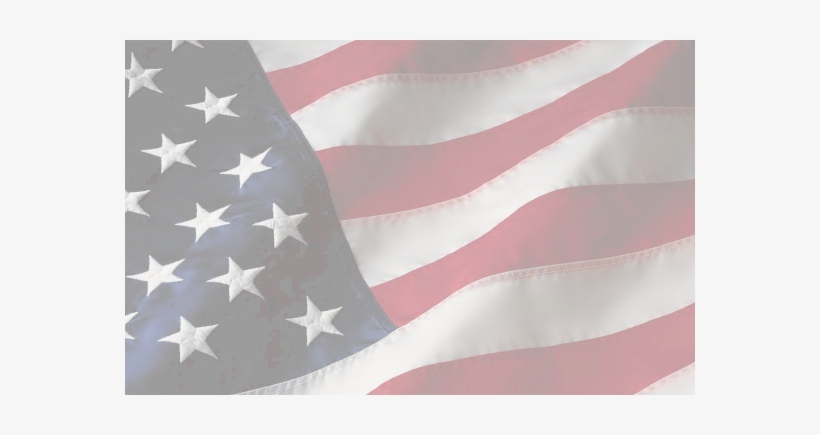 Transparent American Flag Png - Harambe Stands For The National Anthem ...