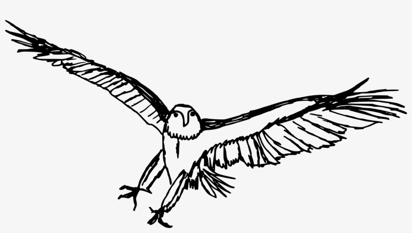 Free Download - Eagle Drawing Png Transparent PNG - 3254x1689 - Free ...
