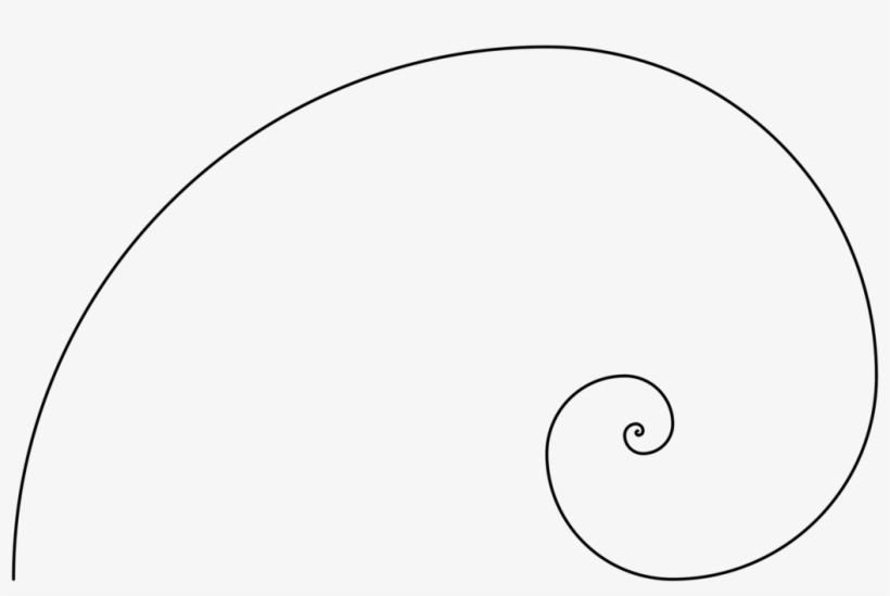 Download Fibonacci Vector Spiral - Circle - HD Transparent PNG ...