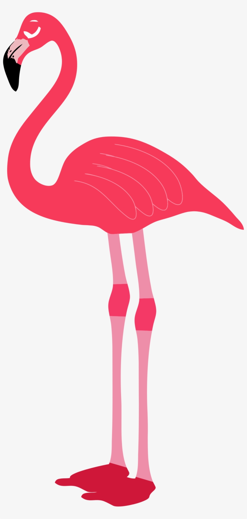 Transparent Background Flamingo Png Transparent PNG - 1098x2256 - Free ...