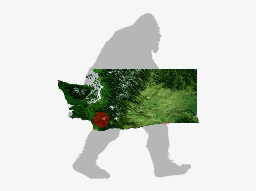 #10 Woody And Wes Germer's Bigfoot Sighting - Yacolt Transparent PNG ...