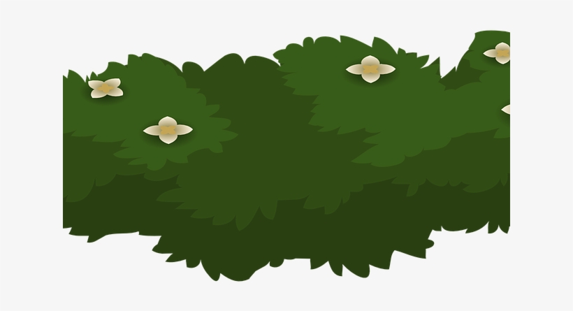 Shrub Bushes Clipart Plant Garden - Shrub Transparent PNG - 640x480 ...