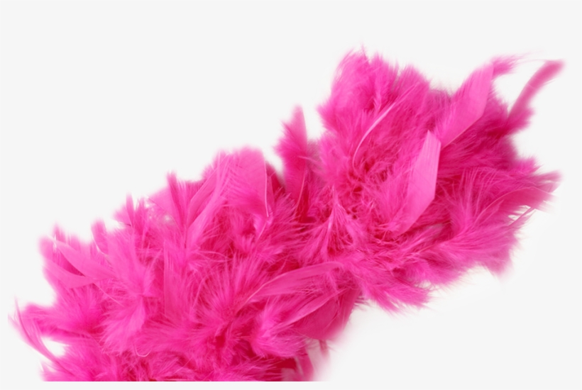 Comments - Transparent Pink Boa Transparent PNG - 960x640 - Free ...