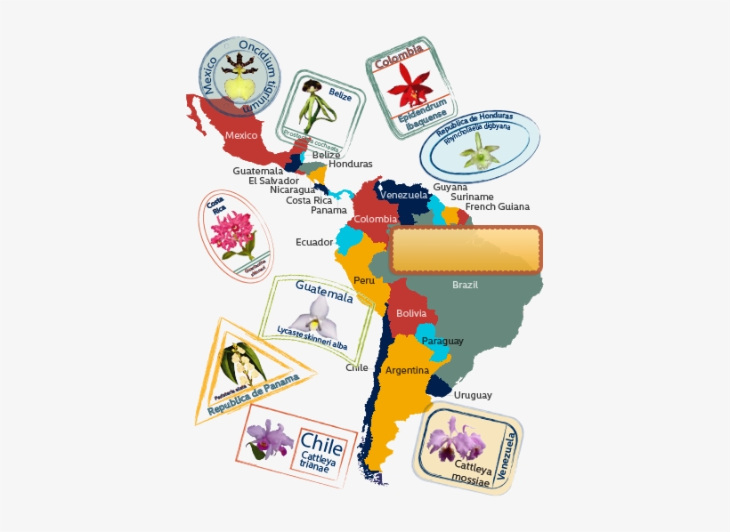 Map Of Latin America Latin America Cultural Map Transparent PNG map-of-latin-america-latin-america-cultural-map-transparent-png
