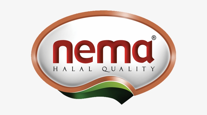 Nema-logo640x480 Transparent PNG - 580x480 - Free Download on NicePNG